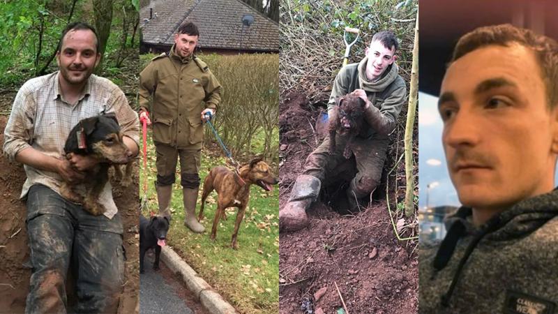 Badger baiting: The story behind the convictions - BBC News