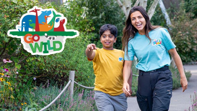 CBeebies Shows - CBeebies - BBC