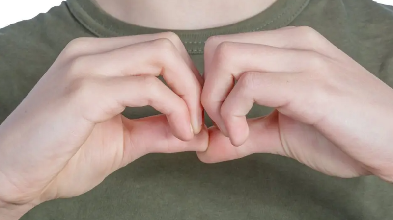 Sign language - BBC News