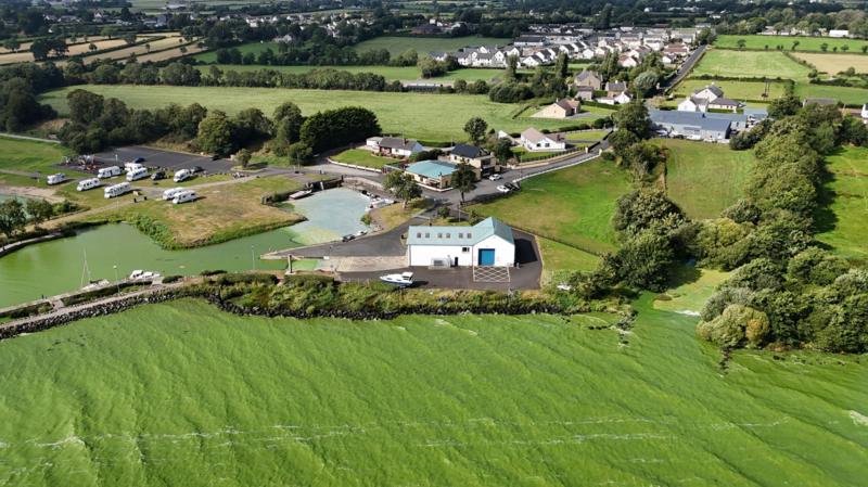 Lough Neagh: How can the blue-green algae problem be solved? - BBC News