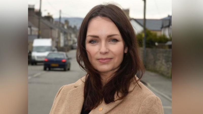 Sex education: Gwynedd councillor harassed over scheme support - BBC News