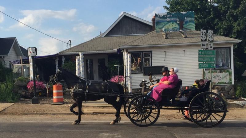 Can this political group get the Amish to vote for Trump? - BBC News
