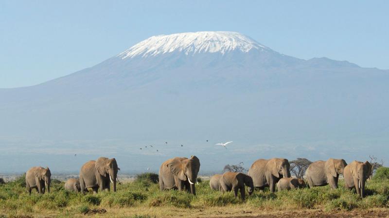 Mount Kilimanjaro - BBC News
