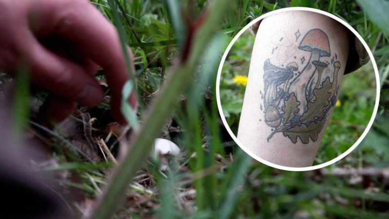 Tattoos - BBC News