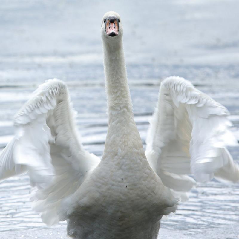 Your pictures of Scotland: 2-9 September - BBC News
