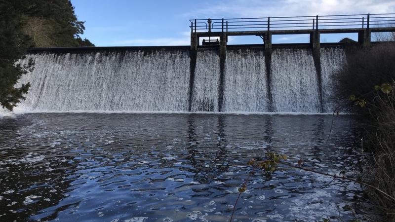 Century-old Garlogie Dam removal to help for salmon revival - BBC News