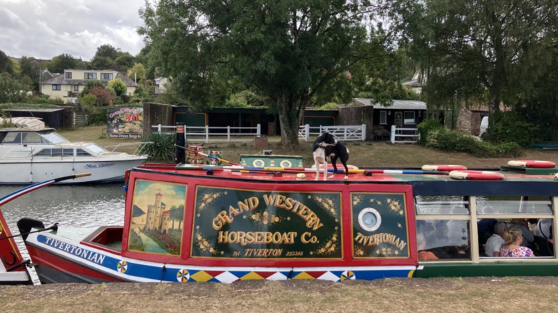 Tiverton's horse-drawn barge business up for sale - BBC News