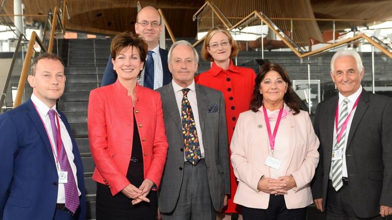 Nigel Farage steps back in at UKIP as Diane James quits - BBC News