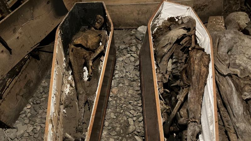 Dublin: Crypt unable to open due to damaged mummified bodies - BBC News