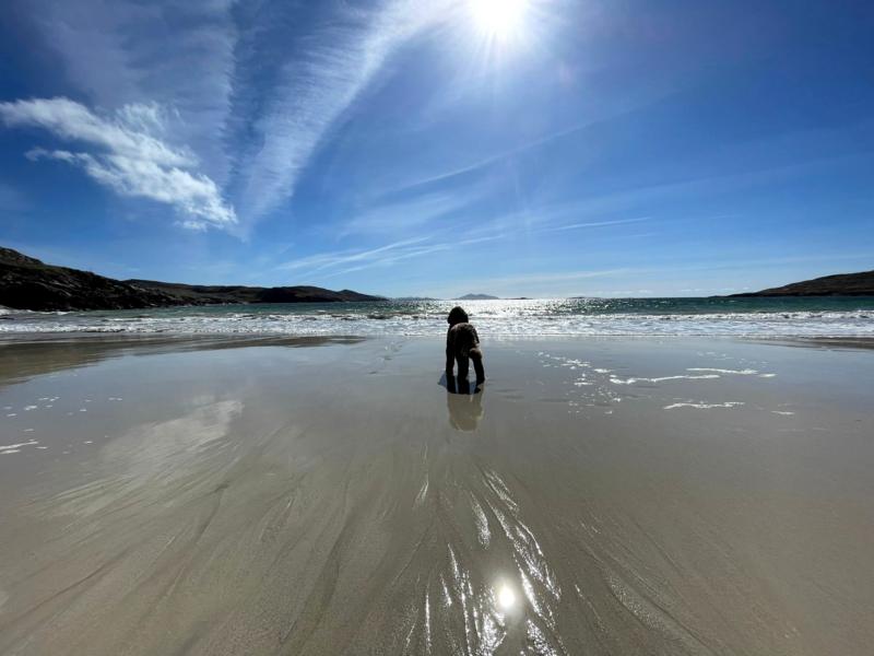 Your pictures of Scotland: 7-14 April - BBC News