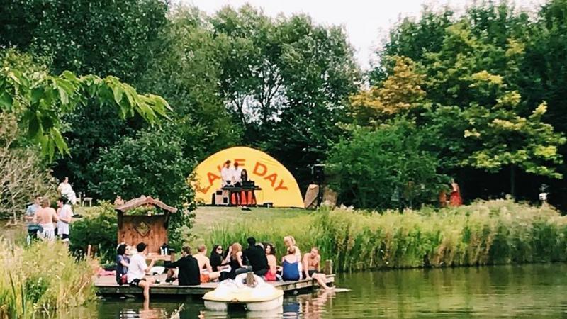 The joy of the backyard festival - BBC News