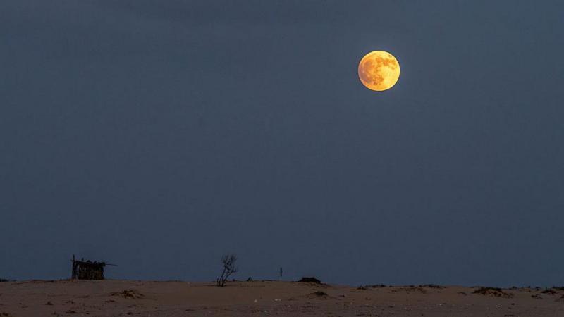 Lunar eclipse: Blood Moon captivates sky-gazers around the world - BBC News