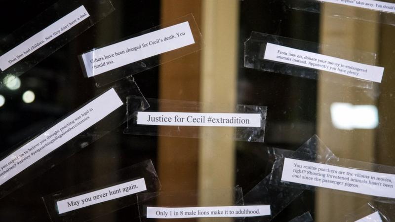 Cecil the lion: Walter Palmer returns to work as dentist - BBC News