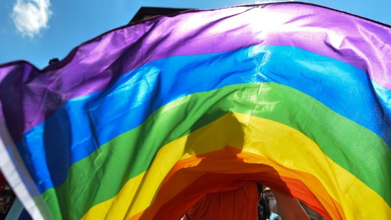 Pride: What is it and why do people celebrate it? - BBC Newsround