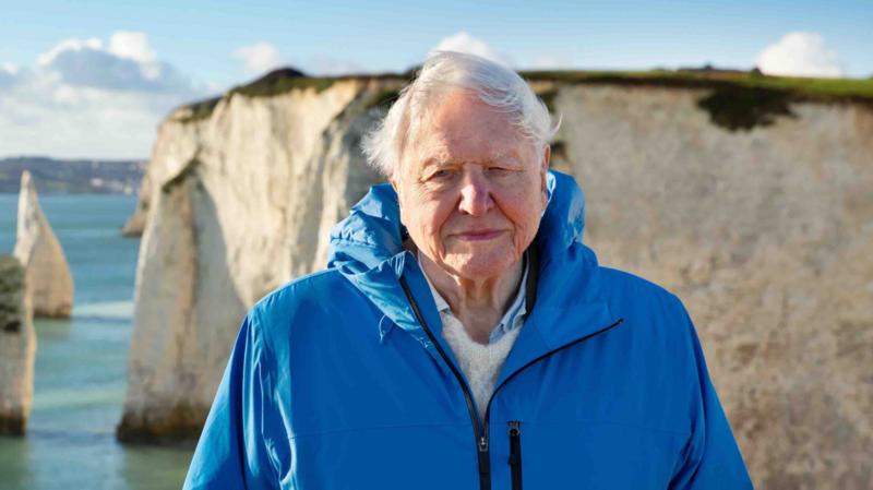Parenthood: Sir David Attenborough gives 'family feels' in new BBC show ...