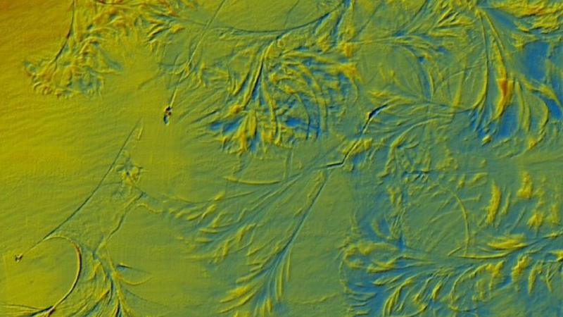 Moored cruise ships off Dorset coast 'scarred' seabed - BBC News