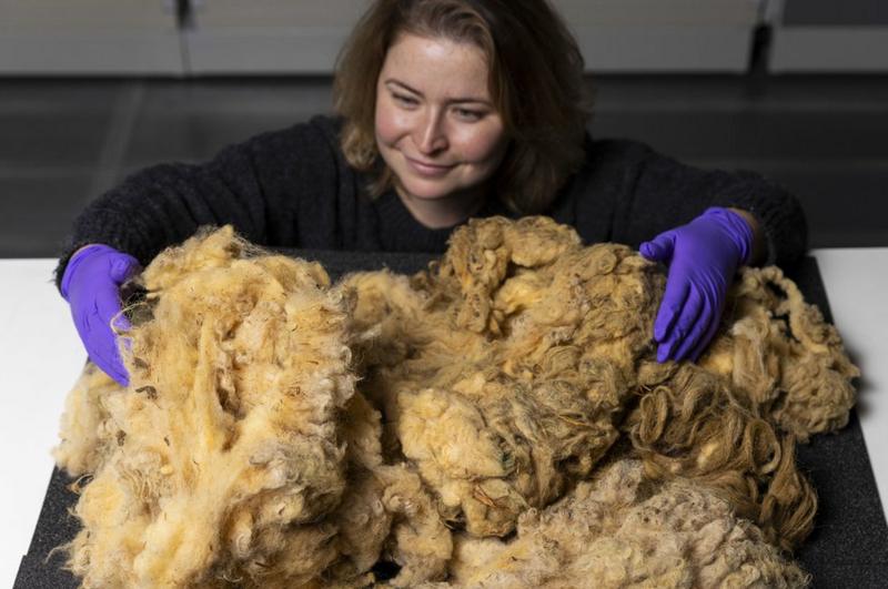 Dolly the Sheep's fleece donated to museum - BBC News