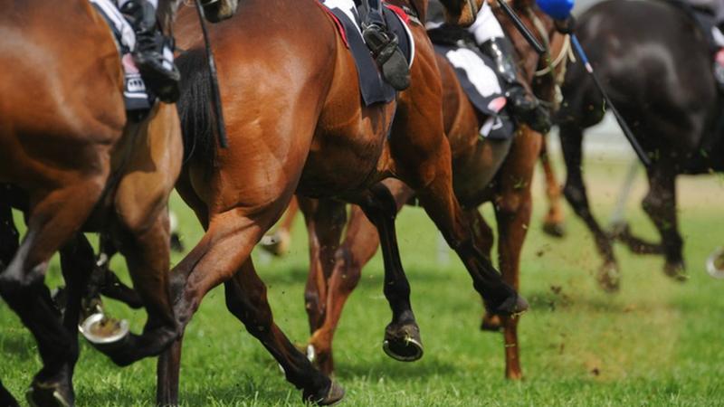 Football: Why are sport rivalries called derbies? - BBC Newsround