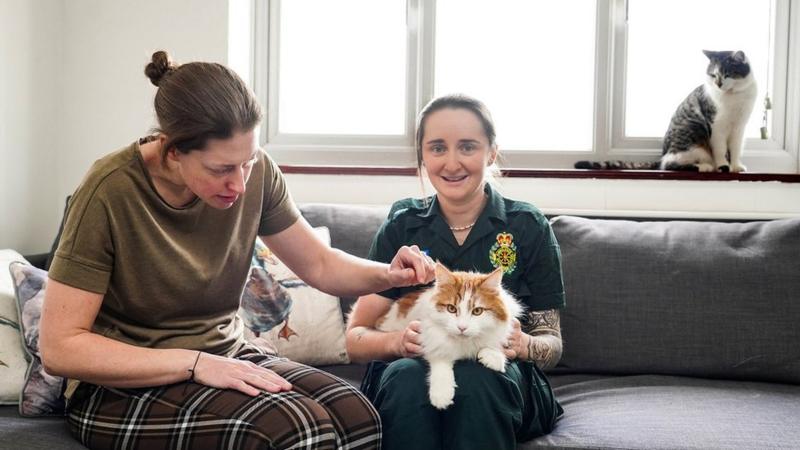 National Cat Awards 2023: Meet the finalists! - BBC Newsround