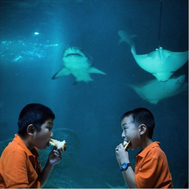 Showing another side of China - via Instagram - BBC News