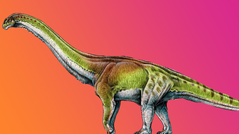 Scientists discover smallest dinosaur ever known, even smaller than a ...