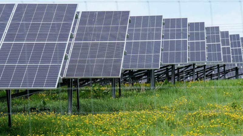 Large solar farm plan for Lincolnshire to increase by 200 hectares ...