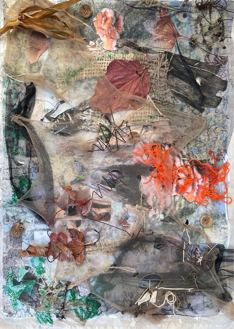 Sixth-form students use art to explore the future of the planet - BBC News