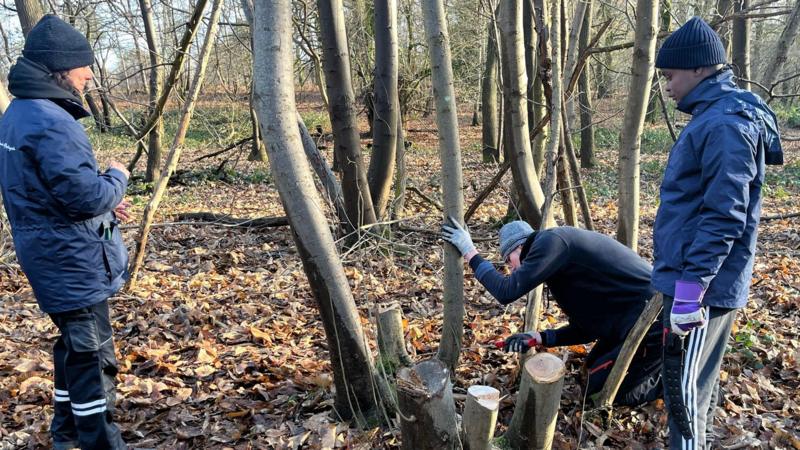 Pierrepont Farm accessibility improved thanks to funding - BBC News