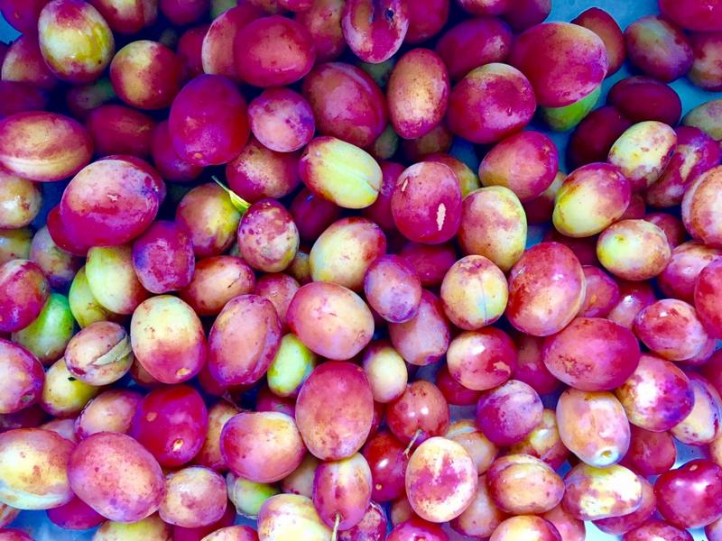 Your pictures of Scotland: 1- 8 September - BBC News