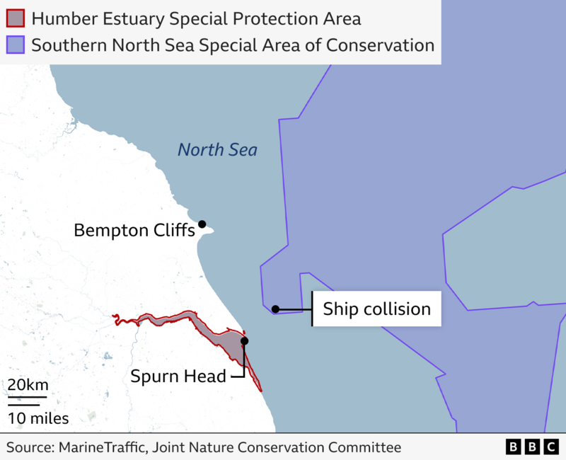 How bad could the tanker collision be for the environment? - BBC News