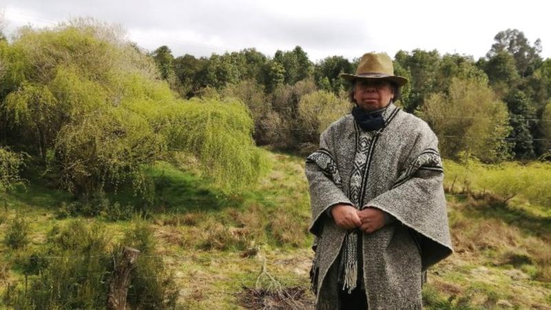 Chile's Mapuche indigenous group fights for rights - BBC News