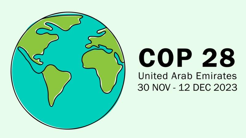 COP28: What's happened so far? - BBC Newsround