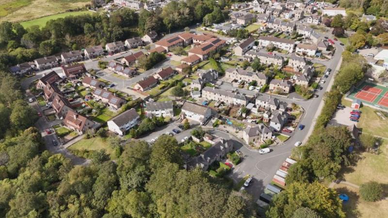 Why your urban neighbourhood might be missing trees that keep you ...