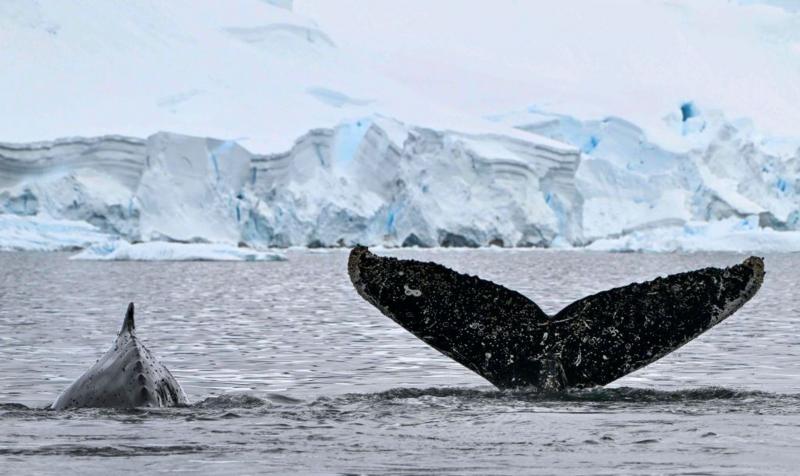 Gamburtsev Subglacial Mountains: Exploring Antarctica's hidden mountain ...