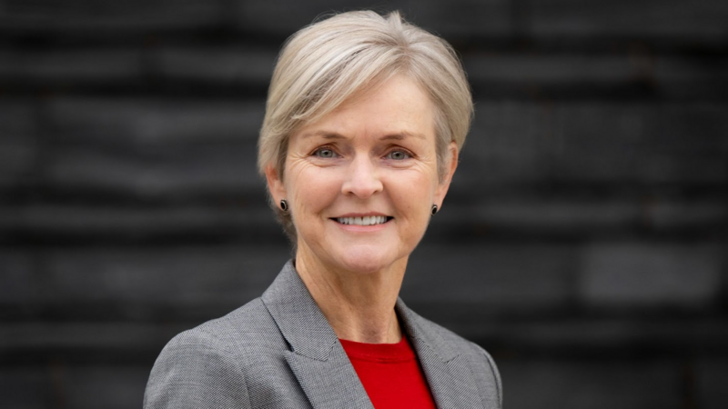 S4C: Delyth Evans confirmed as Welsh-language channel's chairwoman ...