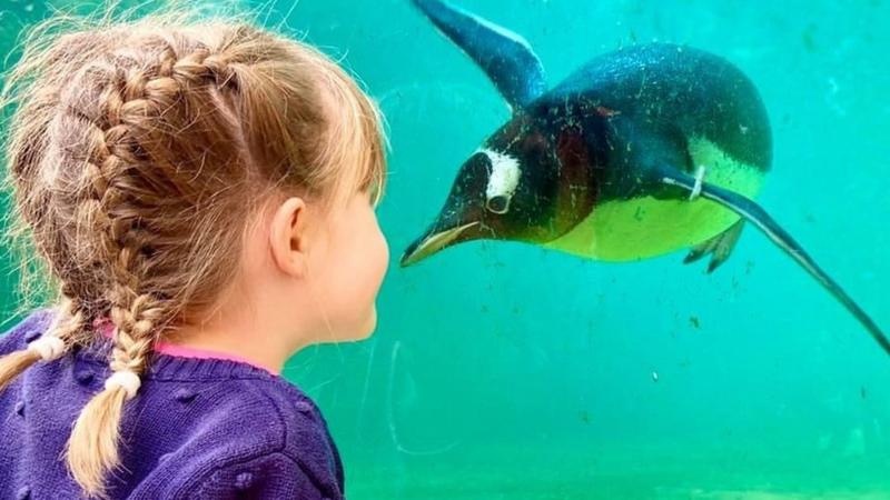 Your pictures of Scotland: 10 - 17 September - BBC News