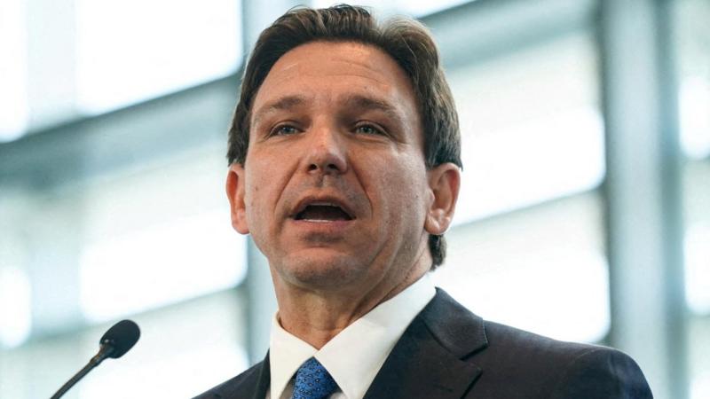 Risk and reward as Ron DeSantis links arms with Elon Musk - BBC News