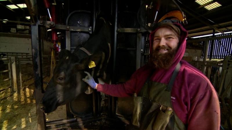 Binley Mega Chippy becomes a surprise TikTok star - BBC News