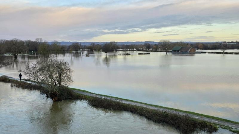 Kent | Latest News & Updates | BBC News