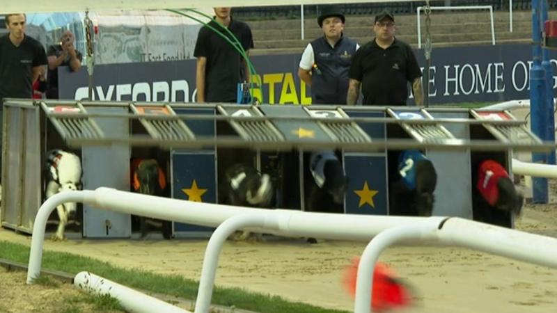 Henlow Stadium holds last race after running since 1920s - BBC News