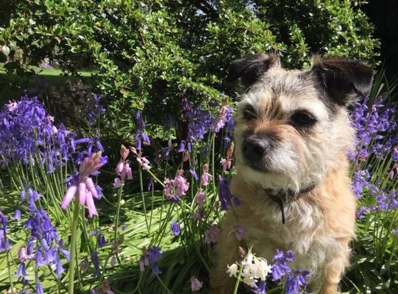 Your pictures of Scotland: 3 - 10 May - BBC News