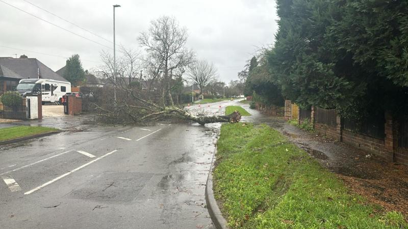 Storm Darragh clean-up after 400 Staffordshire damage reports - BBC News