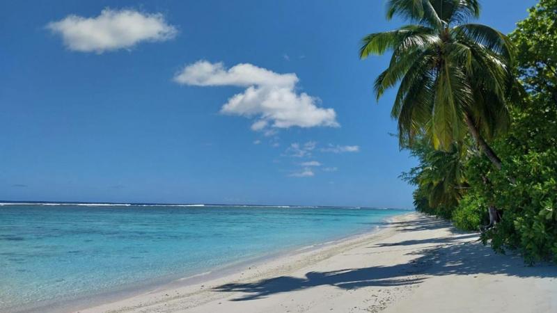 Mauritius - BBC News