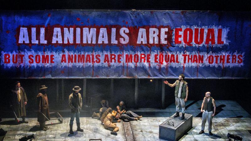Animal Farm: How Olivier Award-nominated play was made in Leeds - BBC News