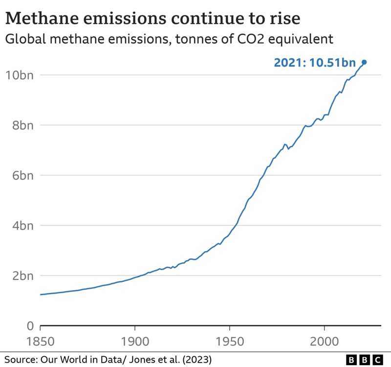 Five climate change solutions under the spotlight at COP28 - BBC News