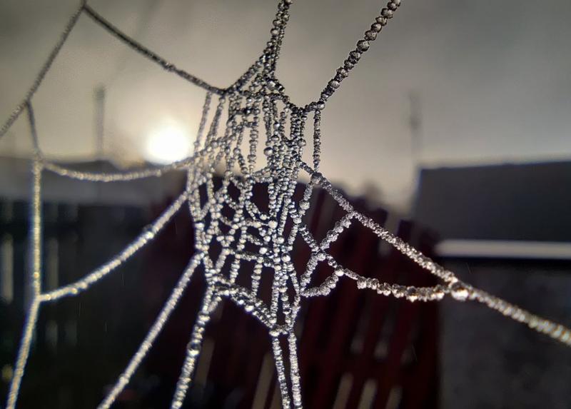 Your pictures of Scotland 15 - 22 January - BBC News