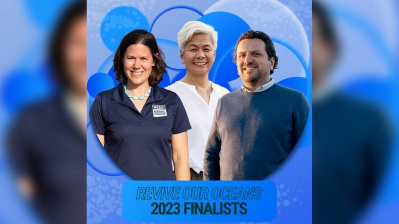 Earthshot Prize 2023 finalists - everything you need to know - BBC ...