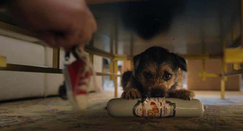 Netflix's Man vs Baby: Dog was 'scene-stealer' says Rowan Atkinson ...