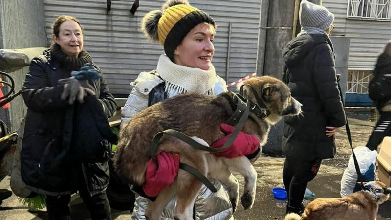 Russian dog-lovers fight to save strays from cull in Siberia's Ulan-Ude ...