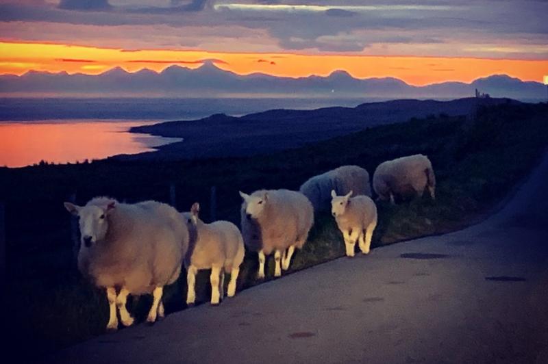 Your pictures of Scotland 28 May - 4 June - BBC News